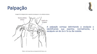 SEMIOLOGIA APARELHO LOCOMOTOR. APRESENTAÇÃO R1 | PPTX