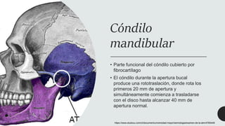 semiologia atm.pptx