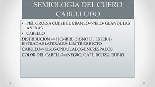 SEMIOLOGIA CABEZA (3).pptx