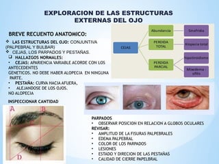 SEMIOLOGIA CABEZA Y CARA TERMINADA ULTIMA 1_070213.pptx