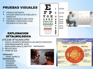 SEMIOLOGIA CABEZA Y CARA TERMINADA ULTIMA 1_070213.pptx