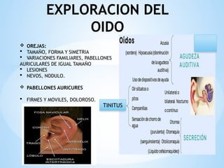 SEMIOLOGIA CABEZA Y CARA TERMINADA ULTIMA 1_070213.pptx