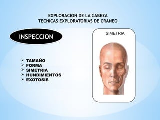 SEMIOLOGIA CABEZA Y CARA TERMINADA ULTIMA 1_070213.pptx