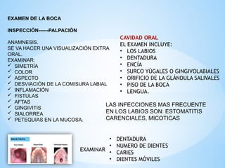 SEMIOLOGIA CABEZA Y CARA TERMINADA ULTIMA 1_070213.pptx