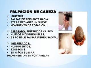 SEMIOLOGIA CABEZA Y CARA TERMINADA ULTIMA 1_070213.pptx