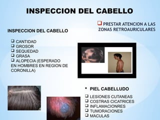 SEMIOLOGIA CABEZA Y CARA TERMINADA ULTIMA 1_070213.pptx