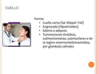 Semiologia de cabeza y cuello | PPTX