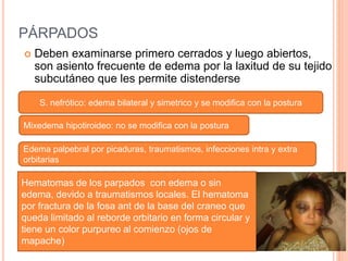 SEMIOLOGIA DE CABEZA Y CUELLO 2024-1.pptx