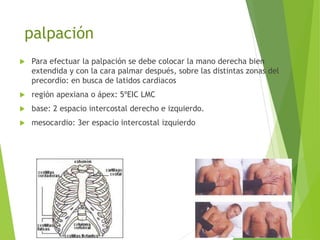 Semiologia cardiovascular | PPTX