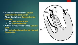 SEMIOLOGIA CARDIOVASCULAR.pdf diapositivas | PDF