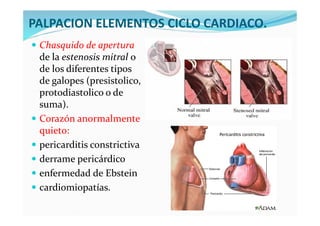 Semiologia Cardiovascular Pdf