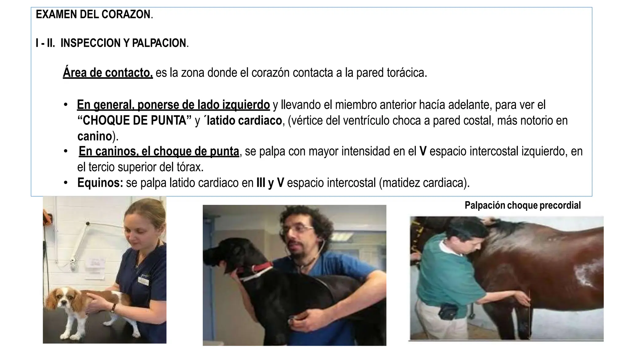 SEMIOLOGIA Clase 13 Exploracion clínico Sistema cardiovascular- Mal de ...