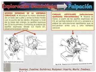 Semiologia de la columna cervical | PPTX