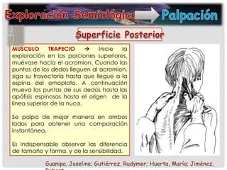 Semiologia de la columna cervical | PPTX