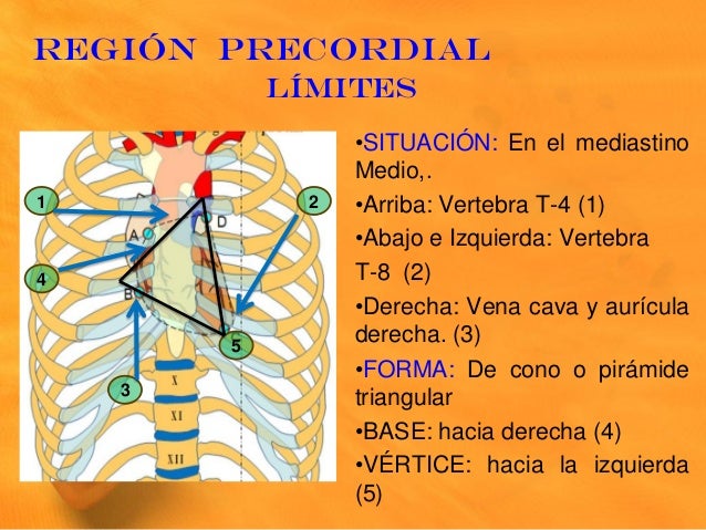 Semiologia corazon 2015
