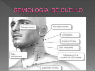 Semiología Cuello | PPT