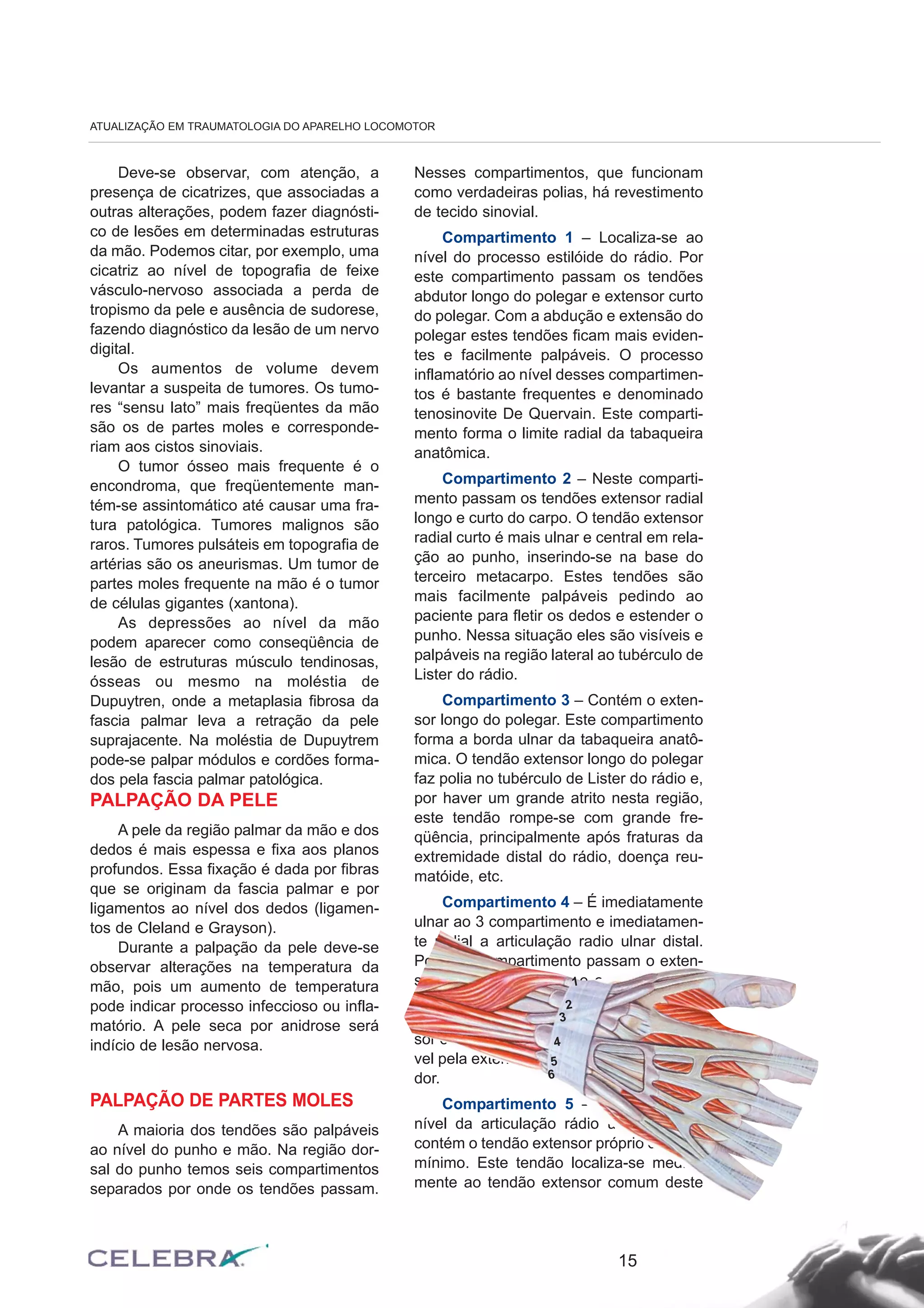 Semiologia da mão | PDF