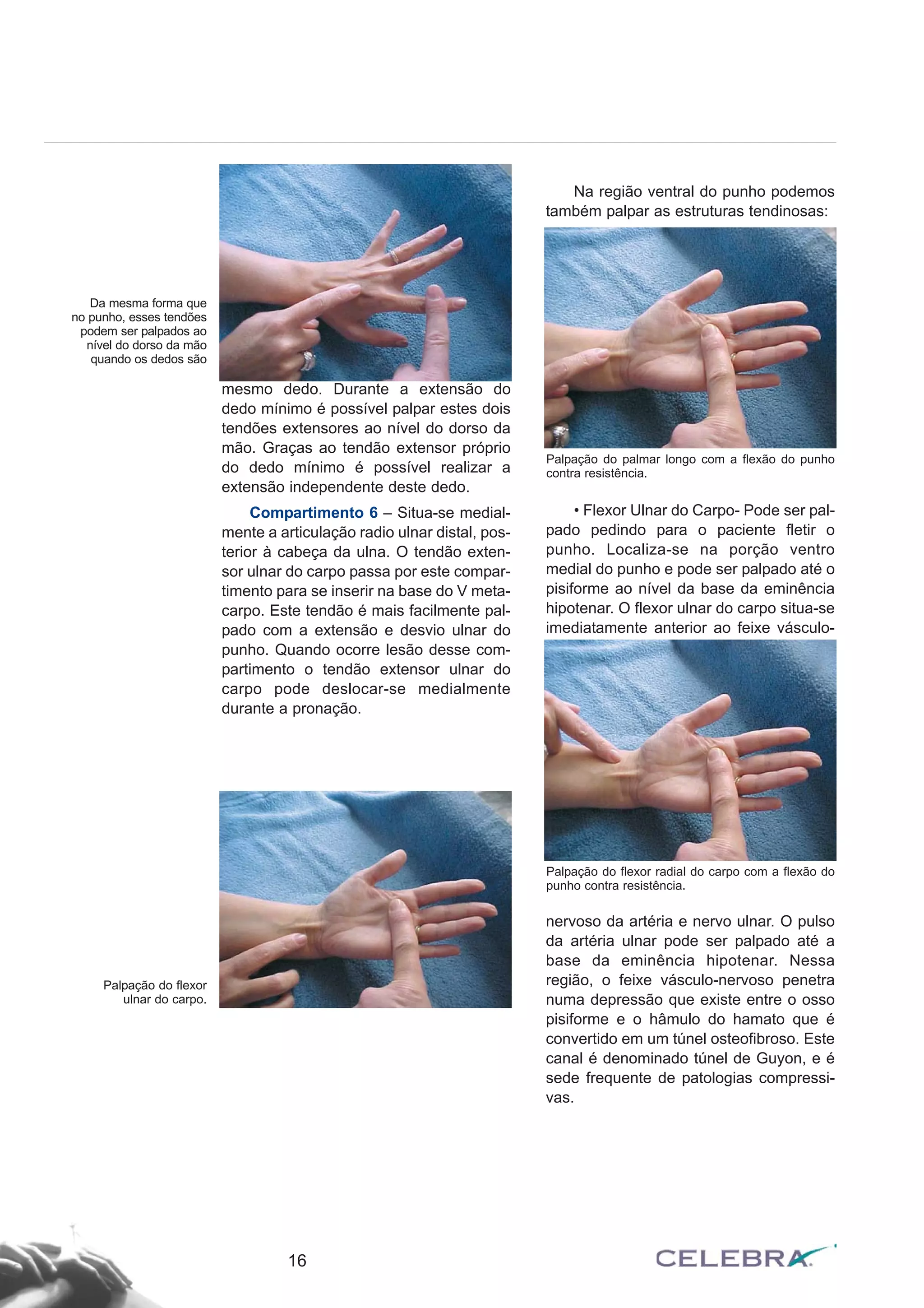 Semiologia da mão | PDF