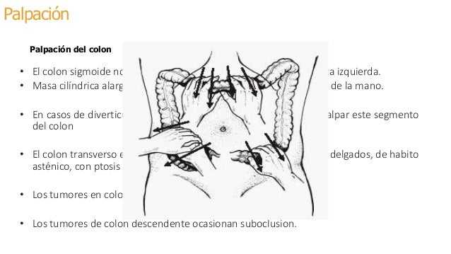 Semiologia de abdomen