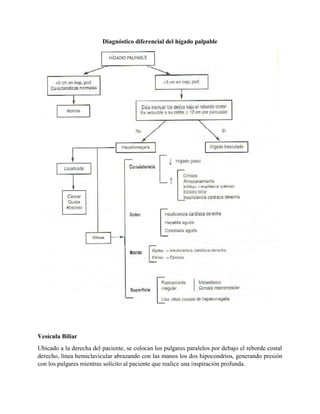 Semiologia de abdomen | PDF