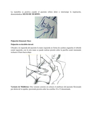 Semiologia de abdomen | PDF
