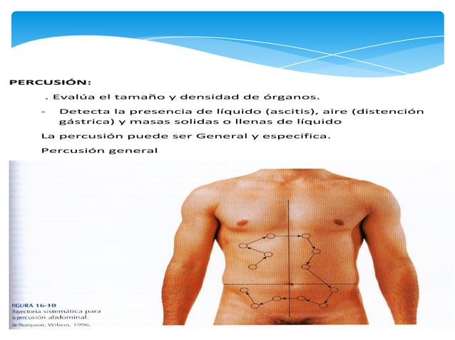 Semiologia de abdomen. Inspeccion, auscultacion, Percusion y Palpacion ...
