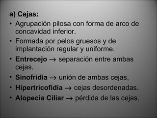 Semiologia De Cabeza I | PPT