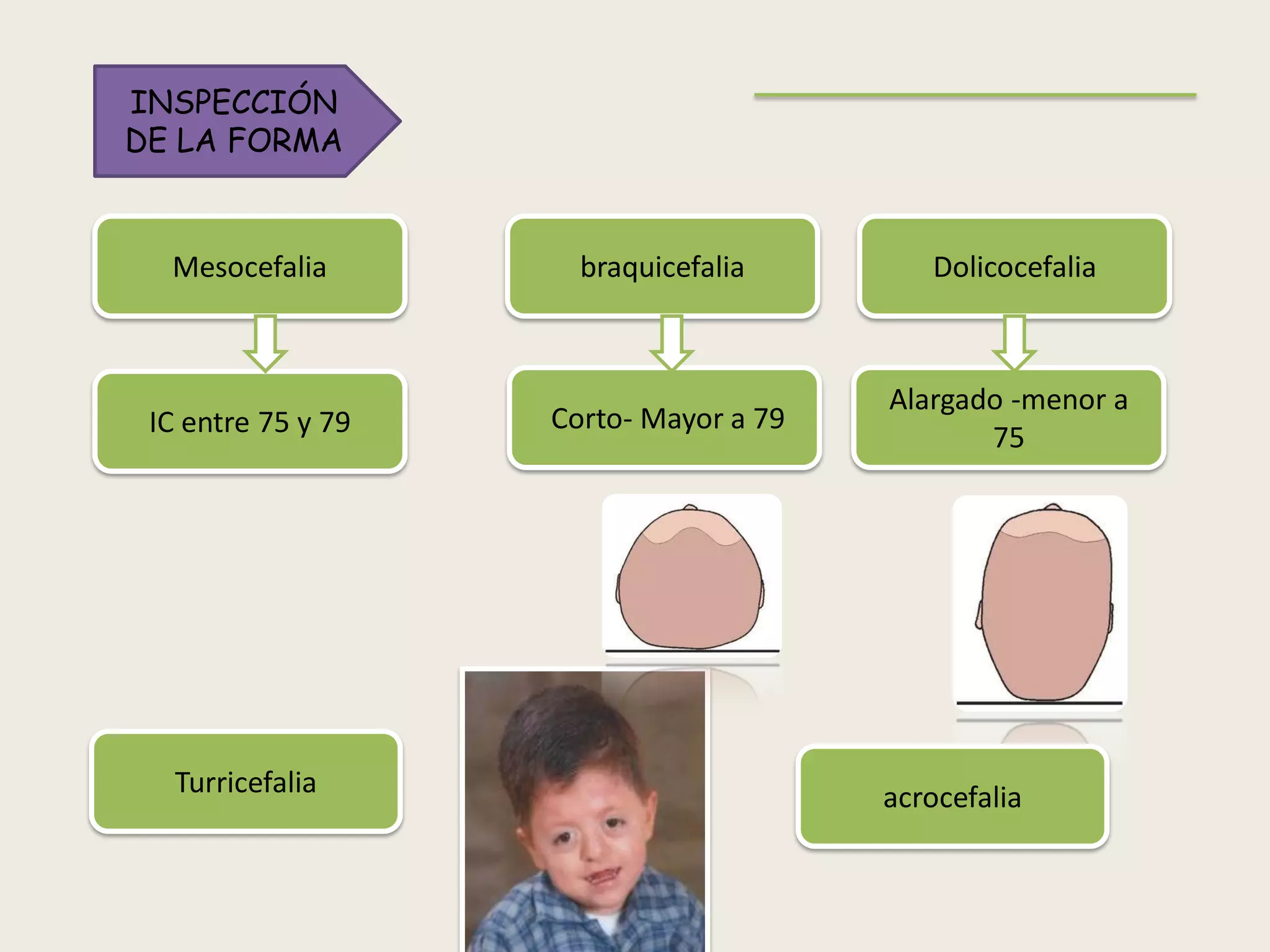 Semiología de cabeza y cuello