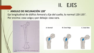 SEMIOLOGIA DE CADERA.pptx