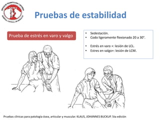 Semiologia de codo | PPTX