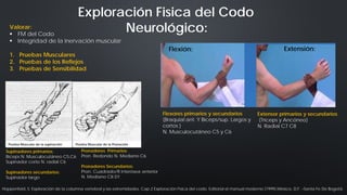 SEMIOLOGIA DE CODO Y ANTEBRAZO pdf.pdf