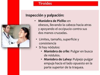 Semiologia de cuello | PPT