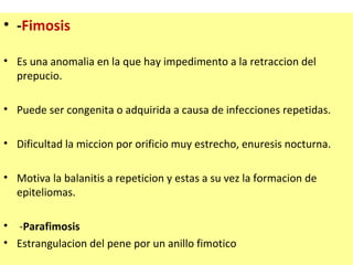 Semiologia de genitales y extremidades | PPT