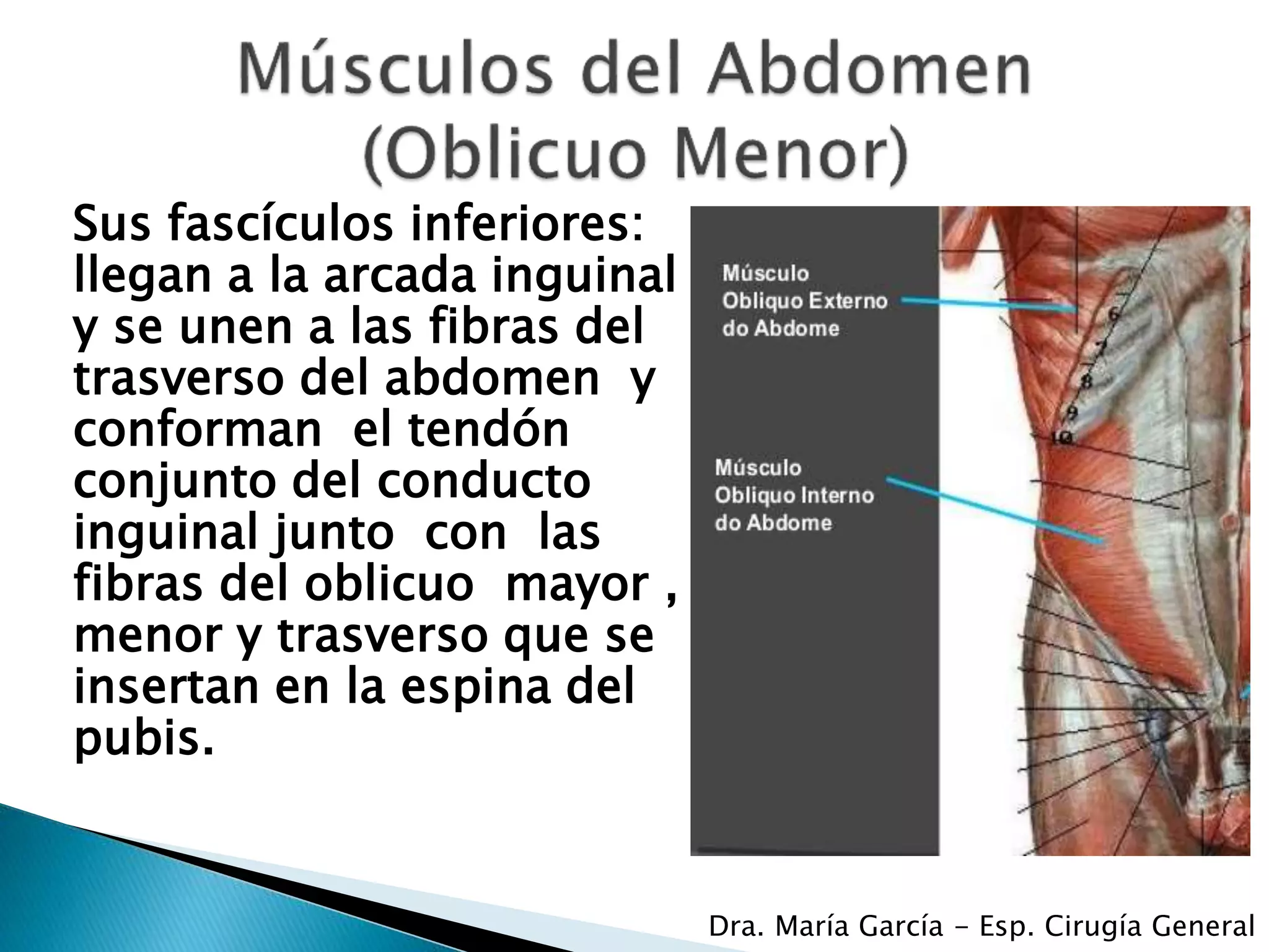 Semiologia del abdomen. dra maria del pilar garcia. catedra cirugia | PPTX