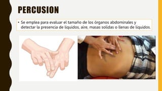 semiologia del abdomen.pptx