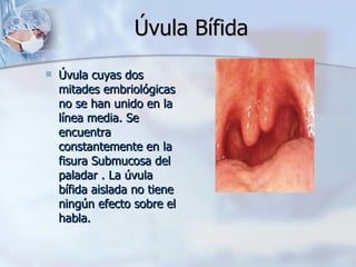 Semiologia quirurgica de la boca. artiles | PPT