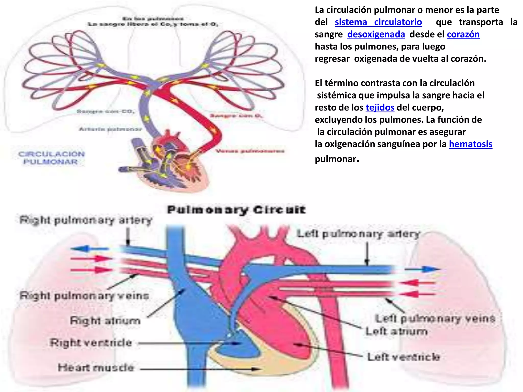 Semiologia de la hemoptisis | PPTX