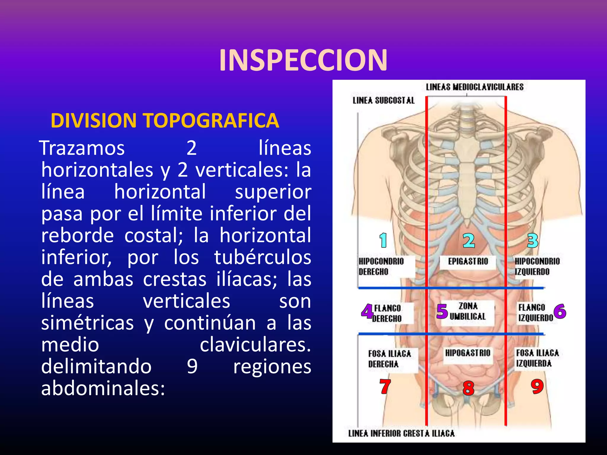 Semiologia del aparato digestivo | PPTX