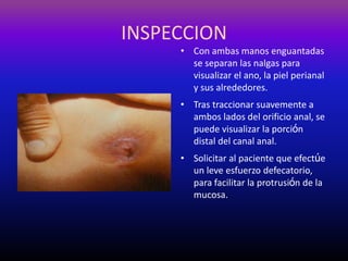 Semiologia del aparato digestivo | PPTX