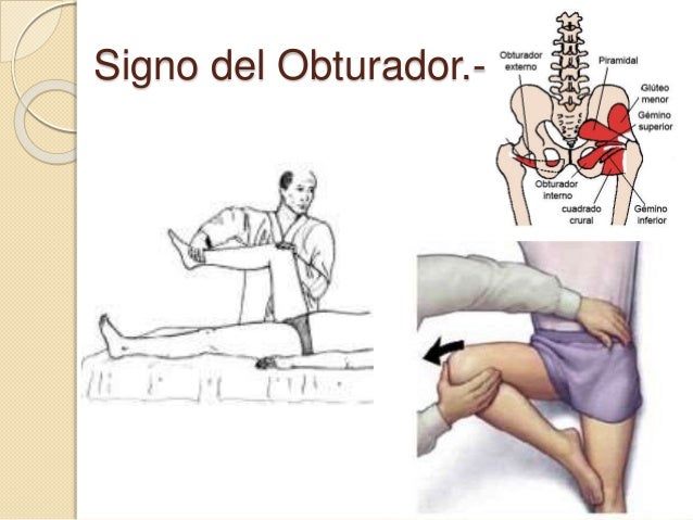 Semiologia del aparato digestivo tema