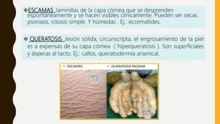Semiologia de la piel | PPTX