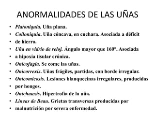 Semiologia de la Piel y Faneras | PPTX
