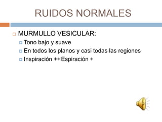 Semiologia del aparato respiratorio | PPTX