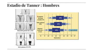SEMIOLOGIA DE LA PUBERTAD- TODO SOBRE EL DESARROLLO PUBERAL | PDF