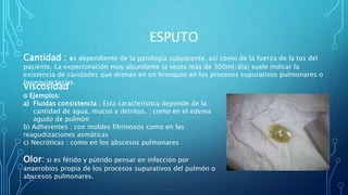 Semiologia de la Tos. Unerg Informarmacionpptx | PPTX