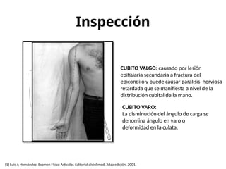 SEMIOLOGIA DEL CODO Y ANATOMIA DEL CODO Y | PPTX
