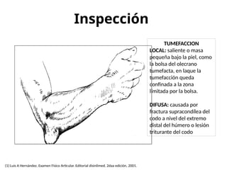 SEMIOLOGIA DEL CODO Y ANATOMIA DEL CODO Y | PPTX