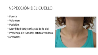 Semiologia del cuello | PPTX