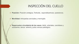 Semiologia del cuello. | PPTX