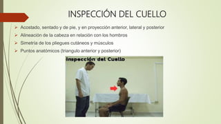 Semiologia del cuello. | PPTX